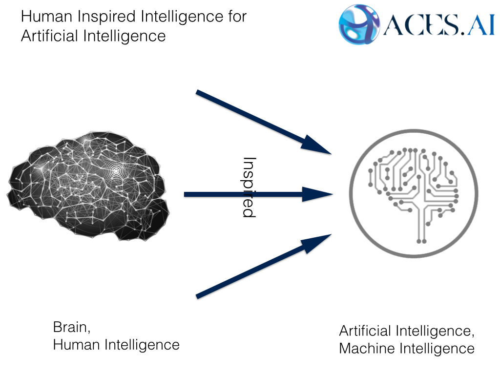Cognition and Evolution for AI and Robotics – ACES