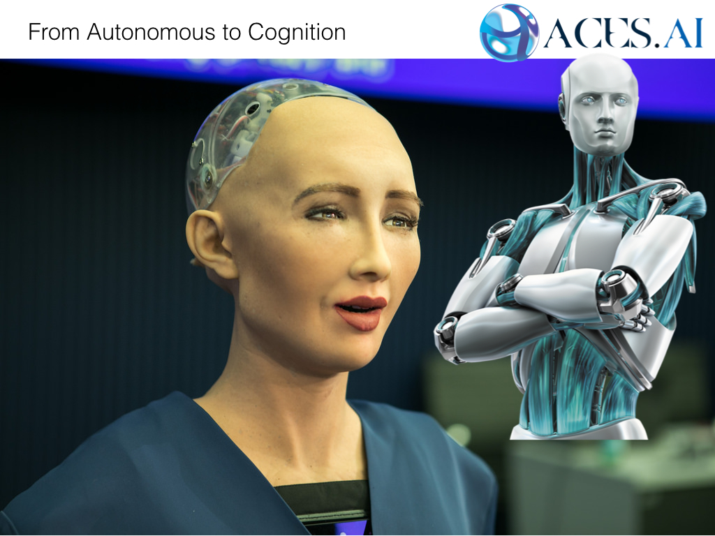 Cognition and Evolution for AI and Robotics – ACES
